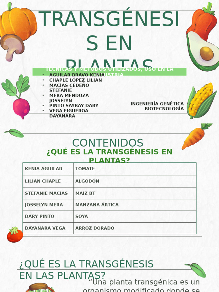 TRANSGENESIS EN PLANTAS - TEMA 4 | PDF | Organismo genéticamente ...