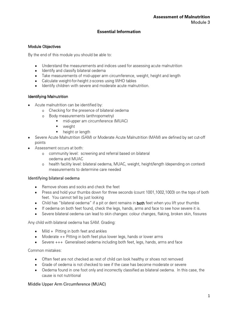 M3 Assessment Essential Information | PDF | Weighing Scale