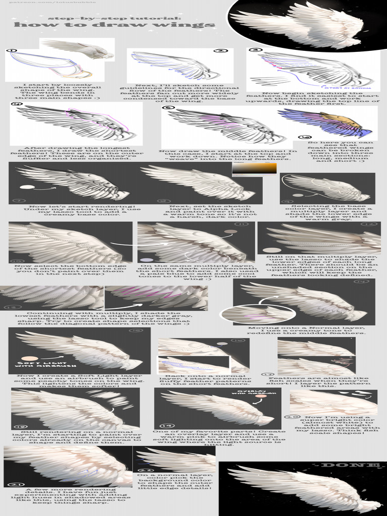 How to Draw Wings | PDF