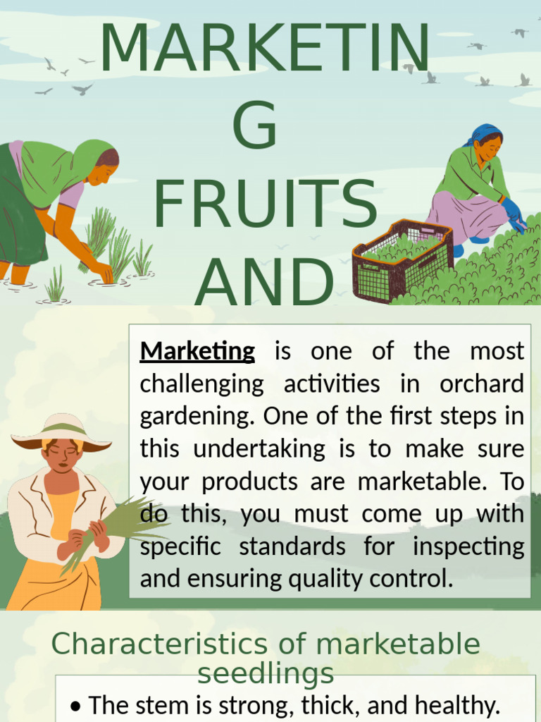 Marketing The Plants | PDF