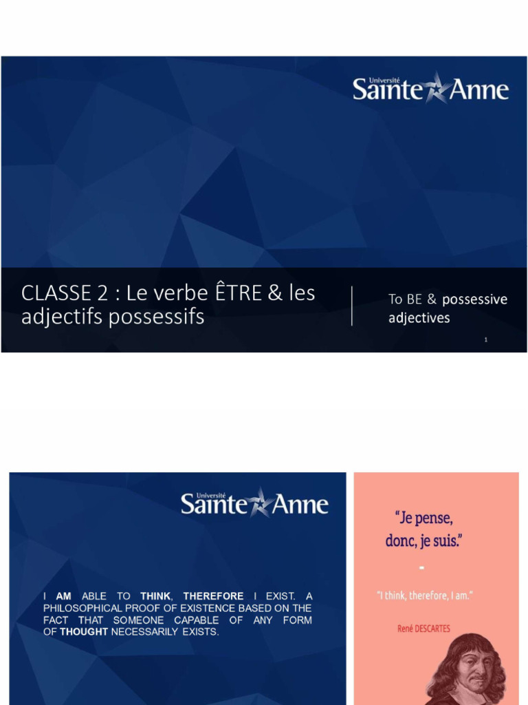 UsainteAnne - Le Verbe Être Et Adjectifs Possessifs (3) | PDF