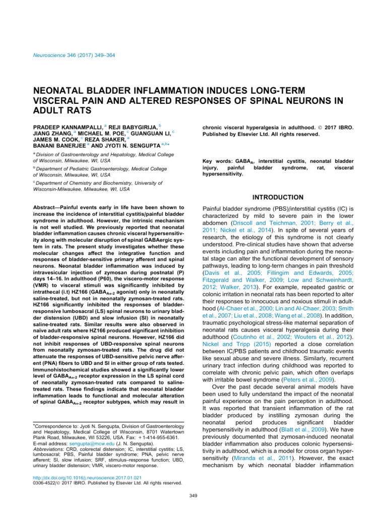 Neonatal Bladder Inflammation and Pain | PDF