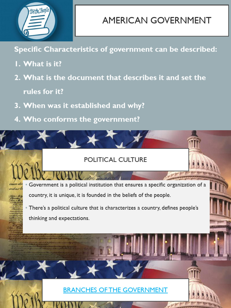 American Government | PDF
