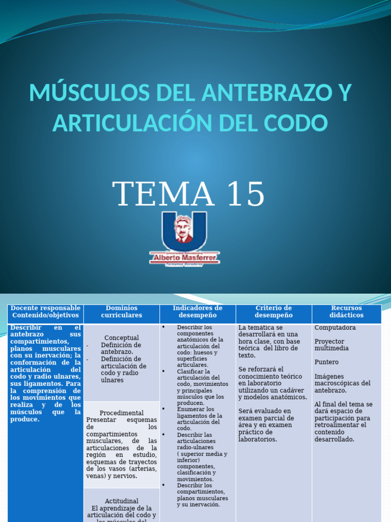 Tema 15 Músculos Del Antebrazo y Articulación Del Codo | PDF | Codo | Articulación
