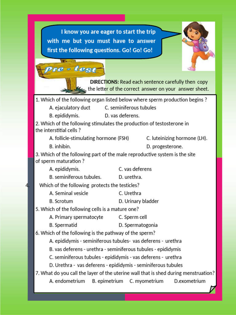 Reproductive System Quiz and Overview | PDF | Menstrual Cycle ...