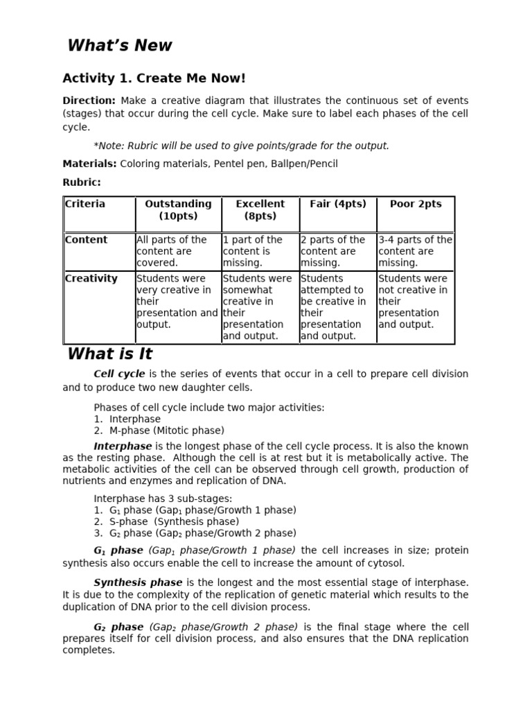 Diagram of Cell Cycle Phases | PDF | Cell Cycle | Life Sciences