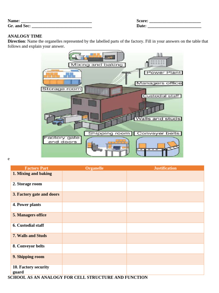 2. Cell Structure and Function Activity | PDF | Cell (Biology) | Cell Anatomy