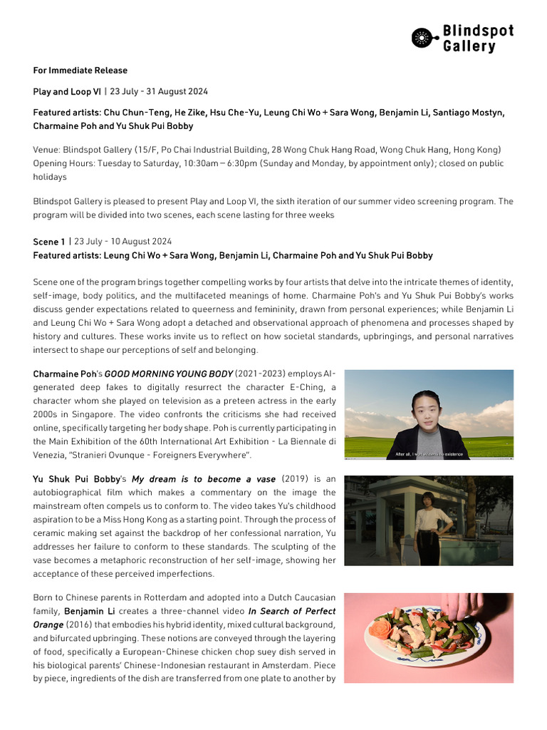 Blindspot Gallery - Play and Loop VI - PR - ENG | PDF