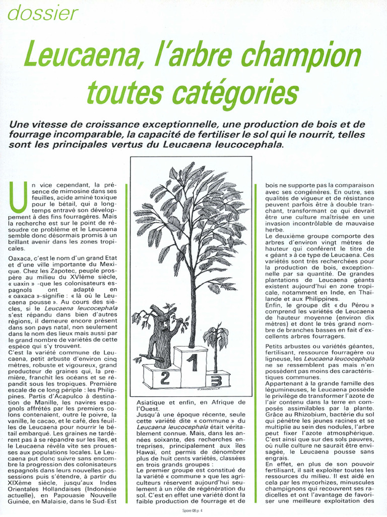 CABI Digital Library Access Guide | PDF