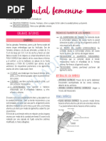 Partes de la Salpinge y Anatomía Asociada | PDF | Ovario | Pelvis
