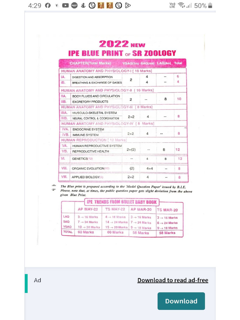 Zoology Baby Bullet | PDF