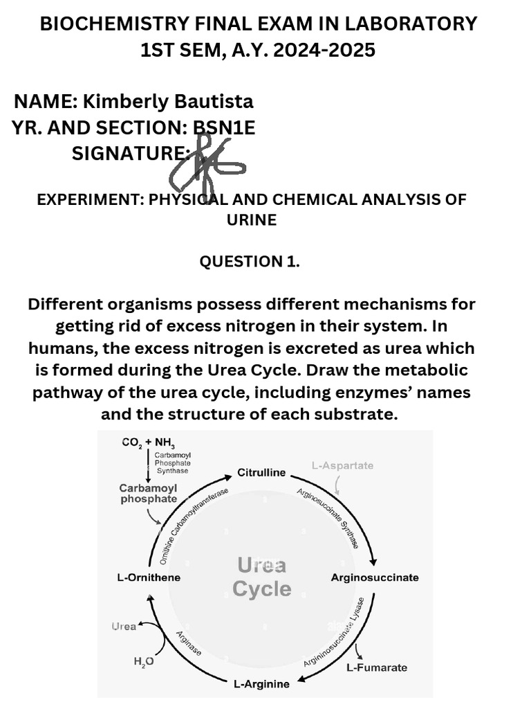 Experiment: Physical and Chemical Analysis of Urine | PDF | Urine | Urea