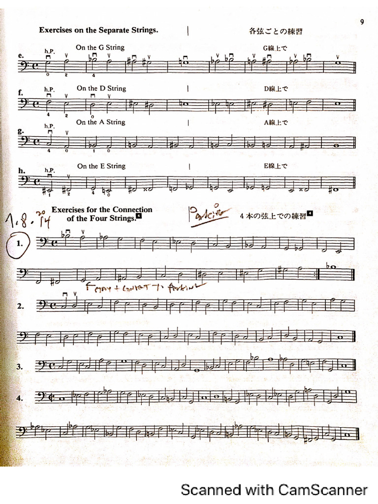 Simandl Half and 1st Position | PDF