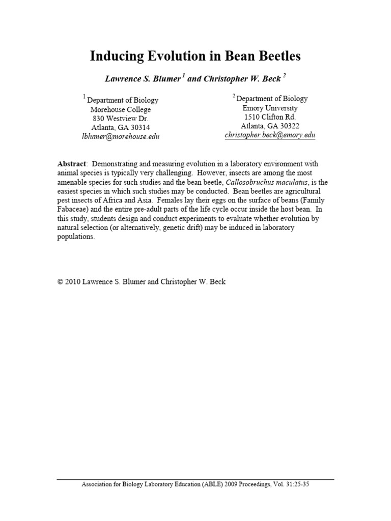 Inducing Evolution in Bean Beetles | PDF | Natural Selection | Evolution