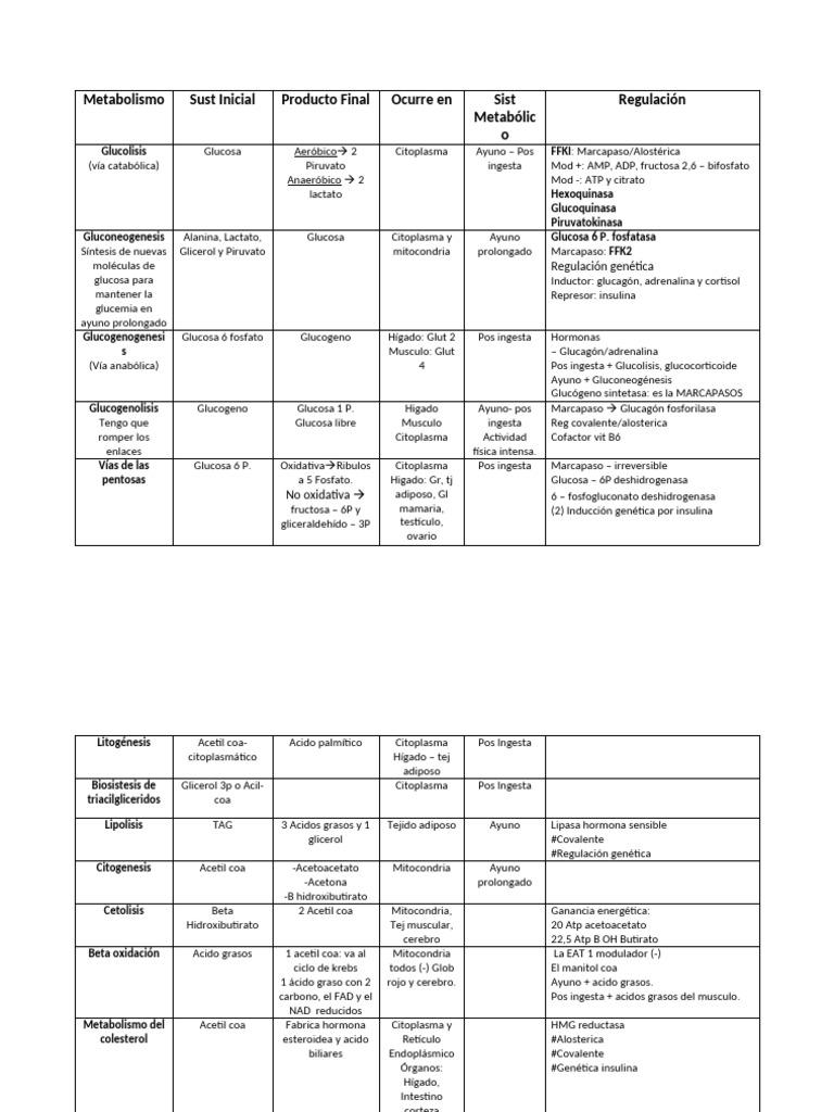 Cuadro de Bioqui Era 2 | PDF | Glucólisis | Biología Celular