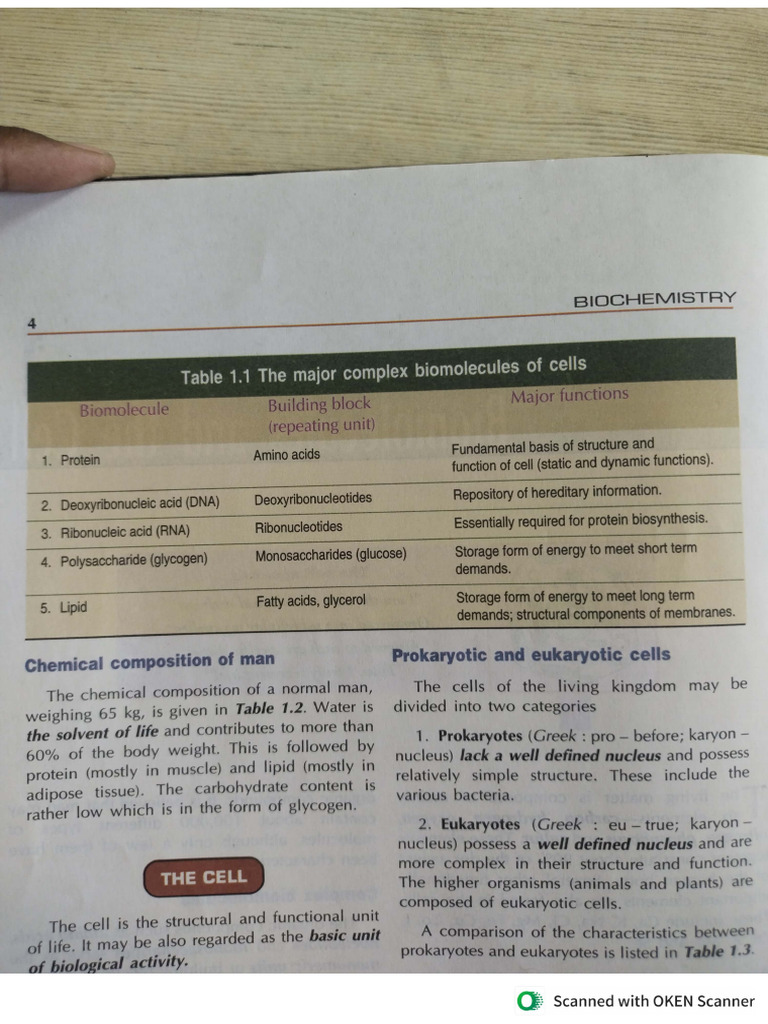 Biochemistry Table | PDF