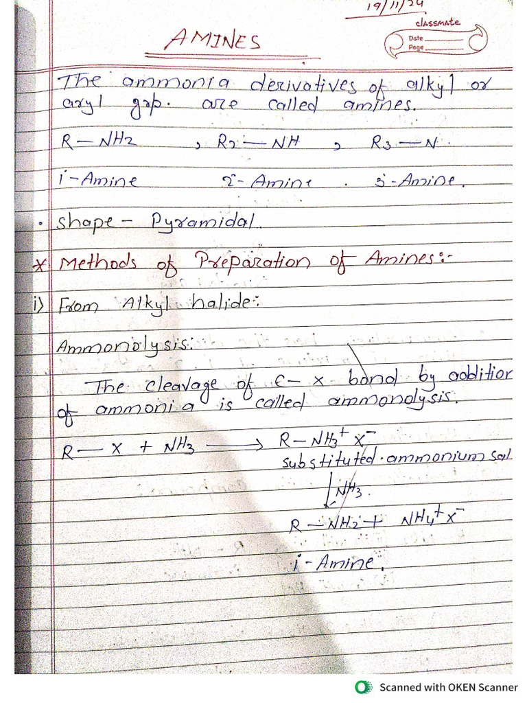 Amines (+) Biomolecules Handwritten Notes. | PDF