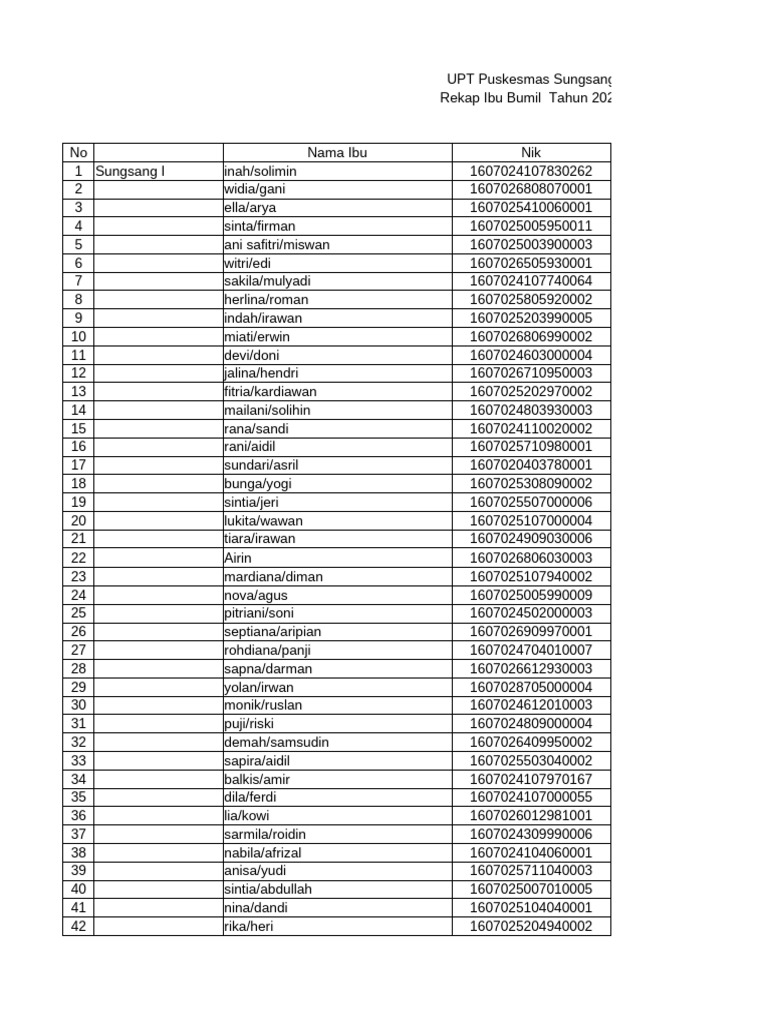 Data Bumil 2024 - PKM, Sungsang | PDF