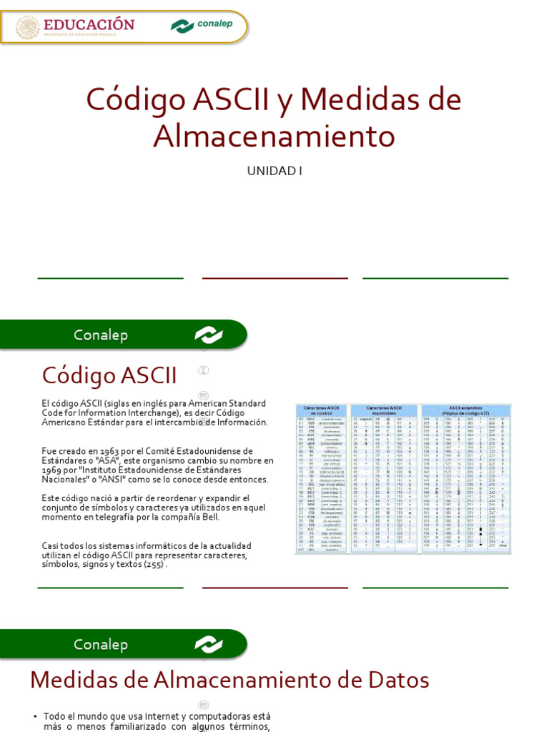 Bit Byte | PDF | Ascii | Poco