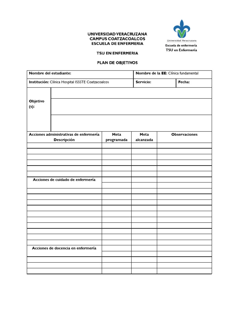 Formato Plan de Objetivos | PDF