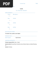 CV Format For Visa Application | PDF | Career & Growth