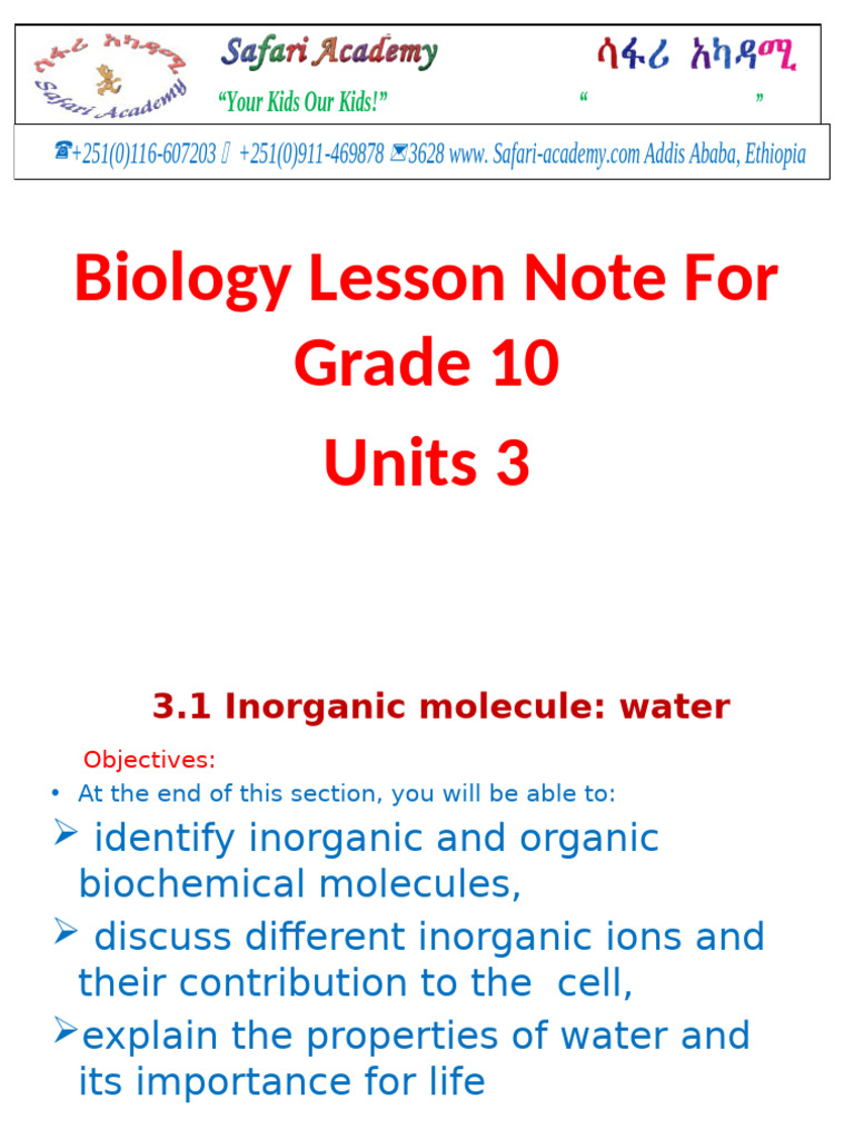 Biology Lesson Note for Grade10 (1) | PDF | Nucleic Acids | Rna