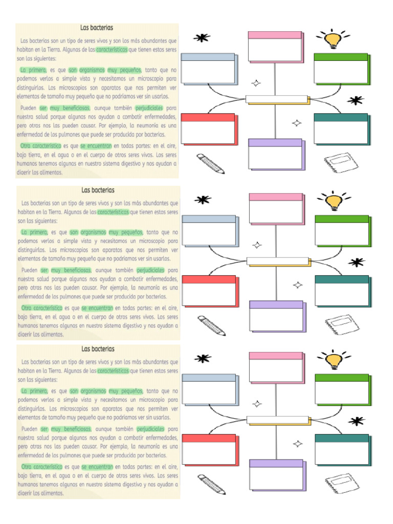 Estructura Textual Descriptiva | PDF