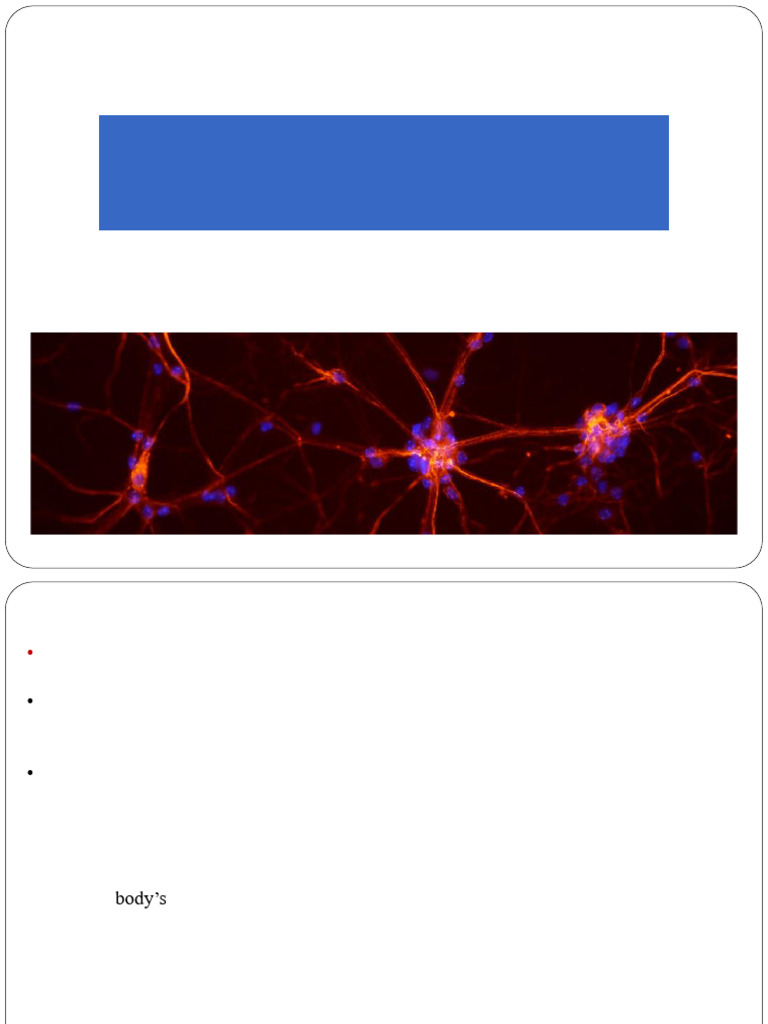Overview of the Nervous System | PDF | Axon | Neuron