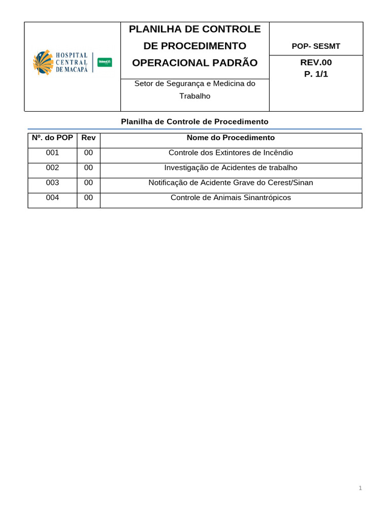 Planilha de Procedimento Operacional Padrão - HCM | PDF