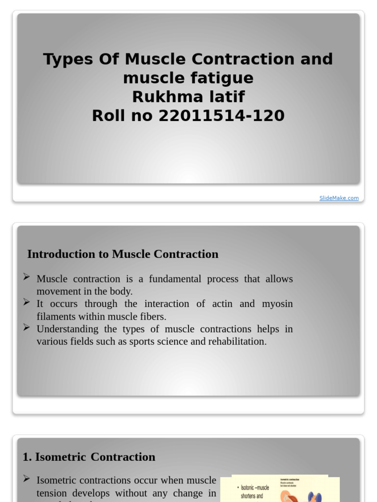 Types of Muscle Contraction and Muscle Fatigue | PDF | Muscle ...