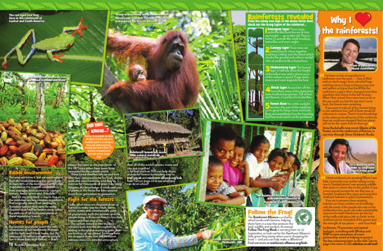 Forests of Life - Why Rainforests Are Important Page 2 | PDF ...