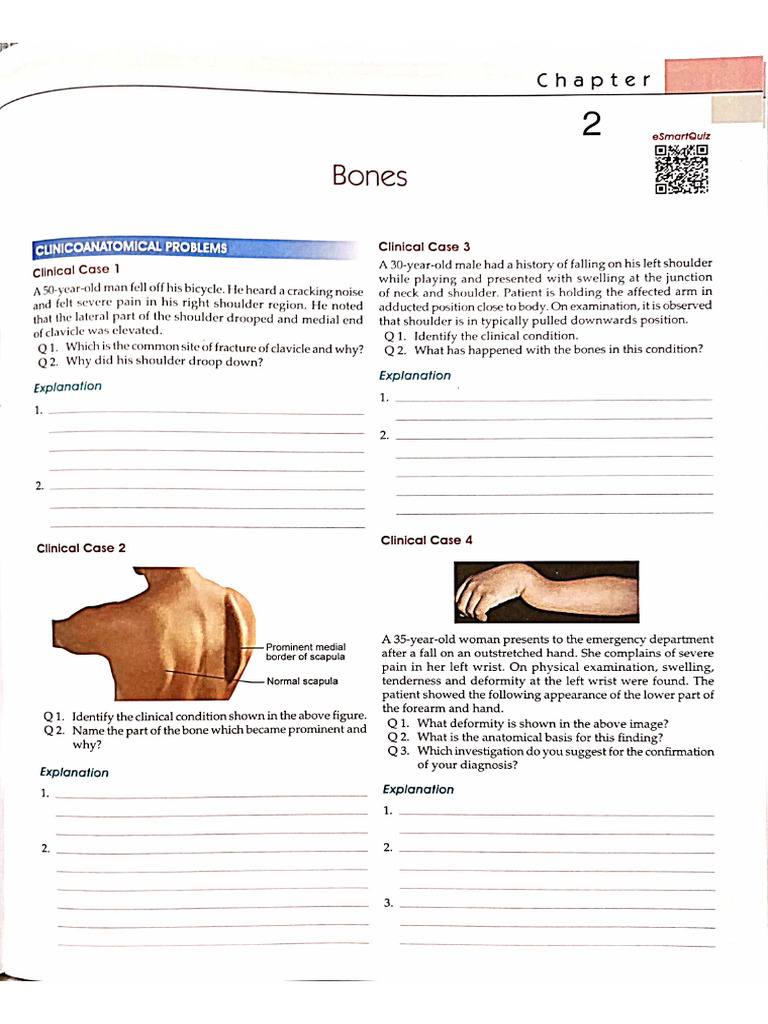 BDC Workbook 1 | PDF