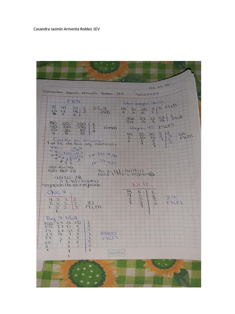 Casandra Jazmín Armenta Robles 1EV | PDF