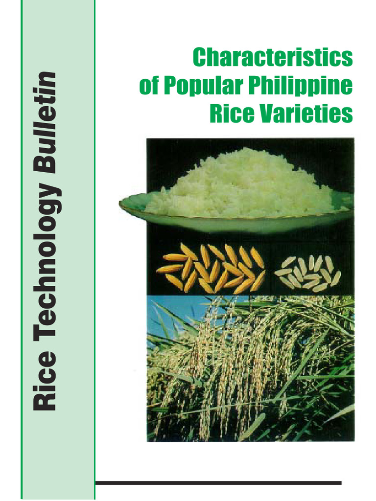 Characteristics of Popular Philippine Rice Varieties | PDF | Rice ...
