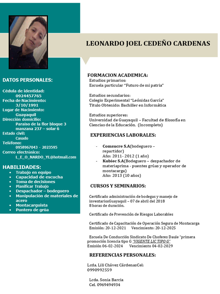 Curriculum Leonardo Cedeño 2024 | PDF
