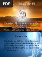C 37 Cecostomia Colostomia | PDF | Intestino grueso | Abdomen
