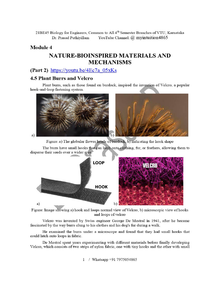 Module 4 (Part 2) 21BE45 Biology For Engineers 11 Pages | PDF