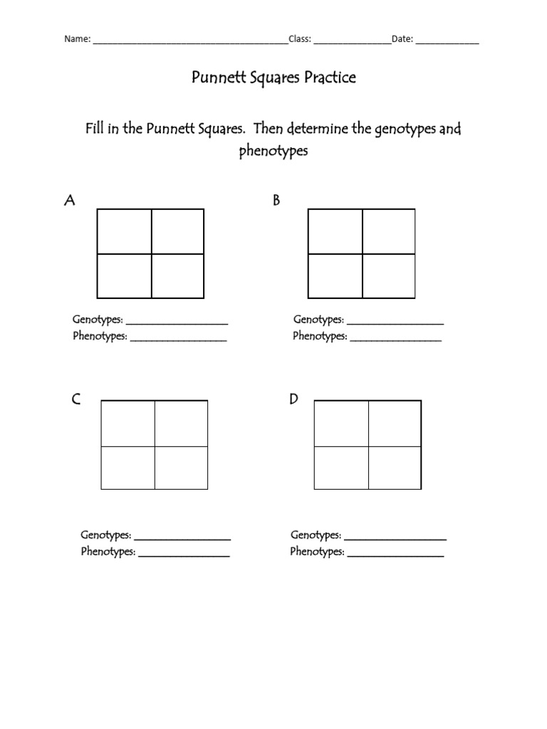 Punnett Squares Practice | PDF