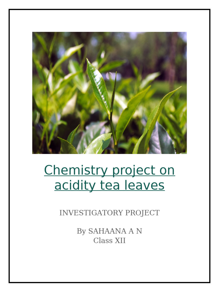 Chemistry Project On Acidity Tea Leaves | PDF | Tea | Drink