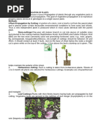 KCSE Agriculture Project Report 2025 | PDF