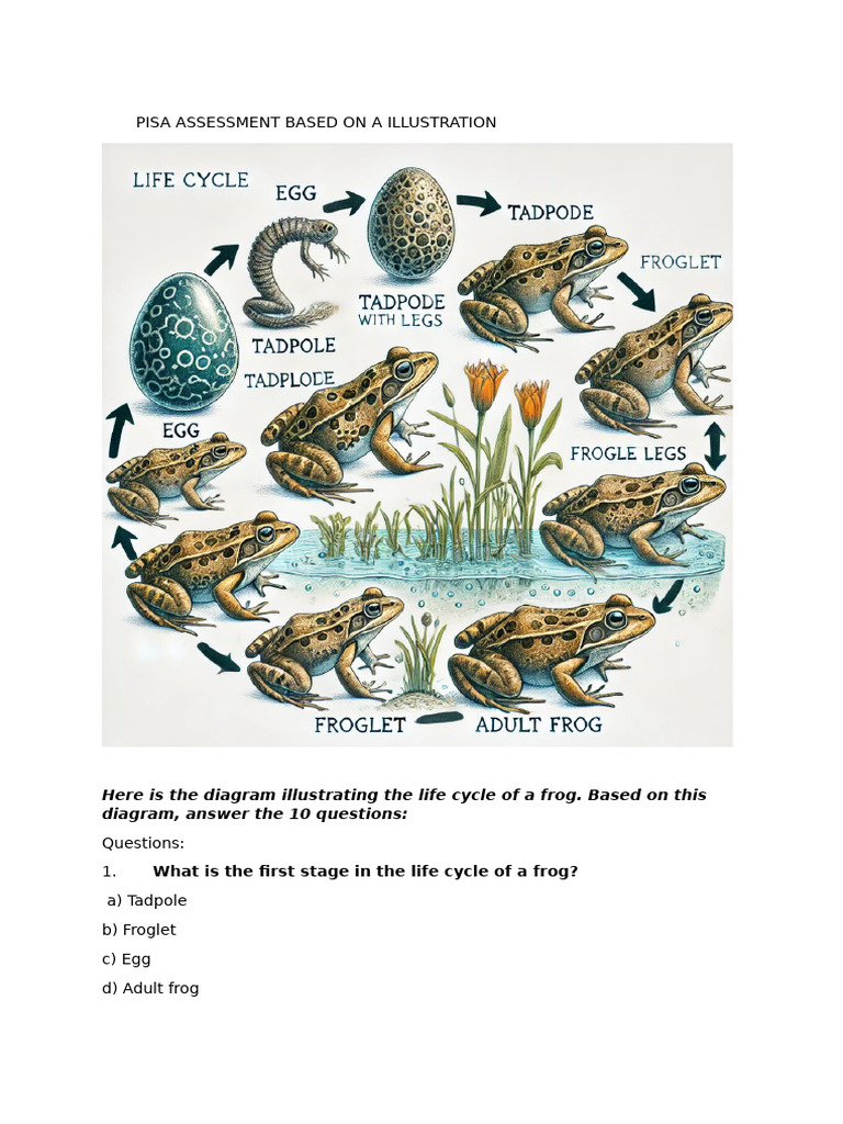 PISA ASSESSMENT BASED ON A ILLUSTRATION With Answer Key | PDF
