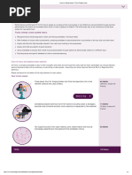 Harvard Outline Structure Guide | PDF