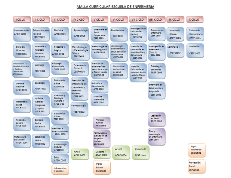 Malla Curricular Escuela de Enfermería | PDF | Enfermería | Psicología ...