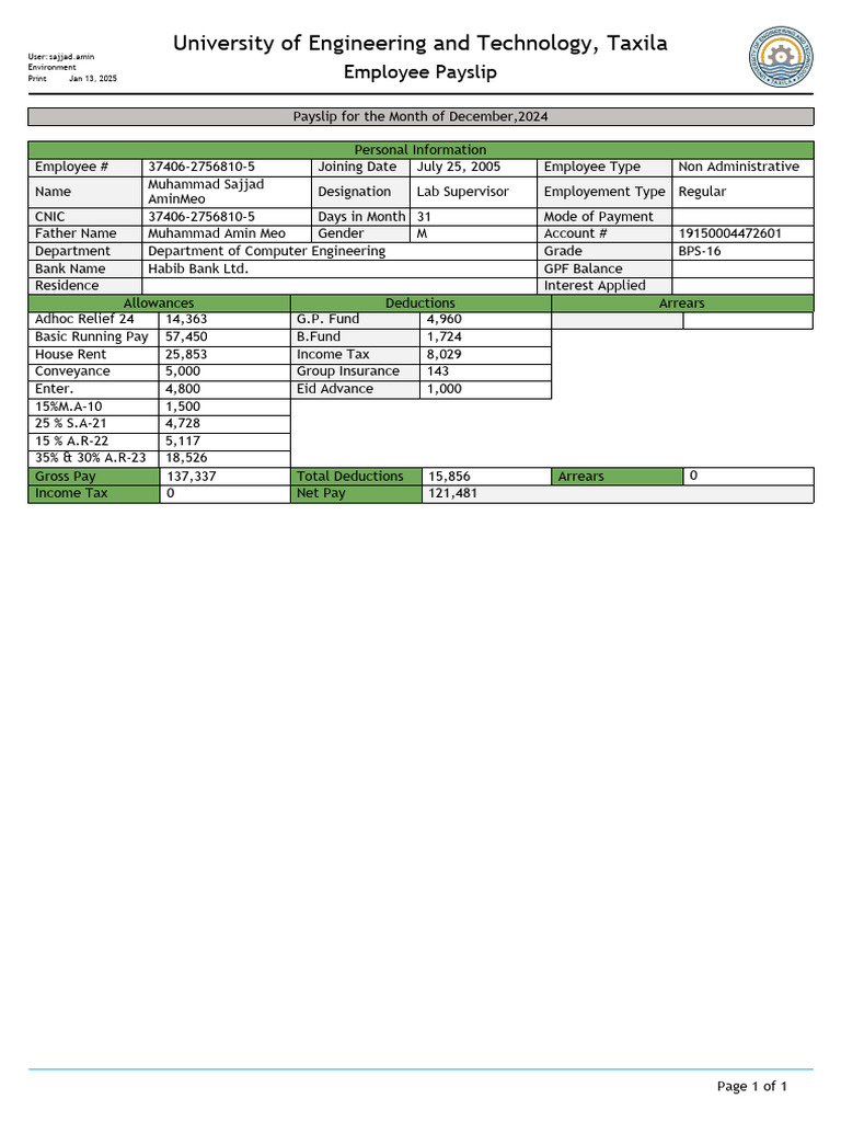 December 2024 Employee Payslip Summary | PDF