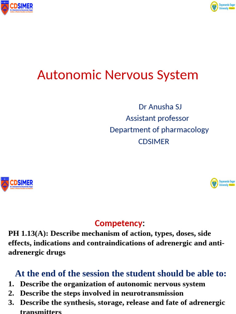 Ans | PDF | Chemical Synapse | Norepinephrine