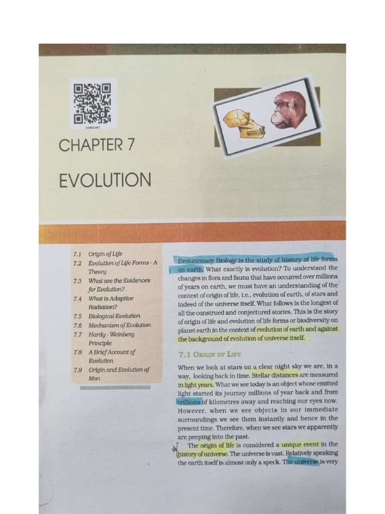 Evolution 1 | PDF