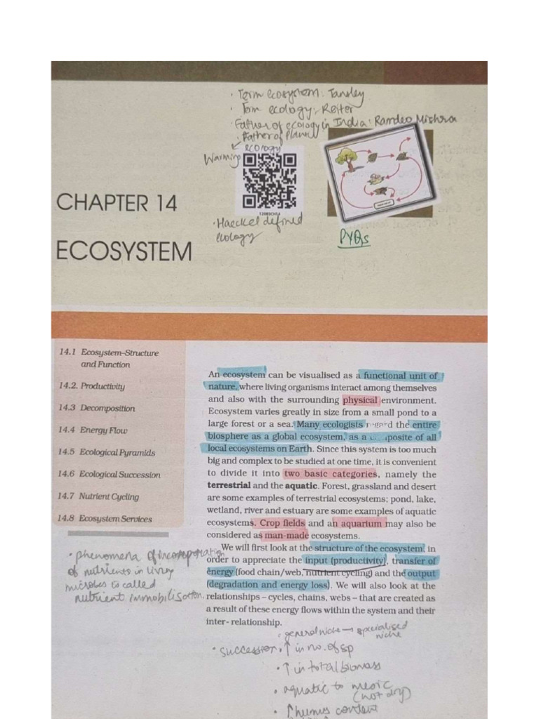 Ecosystem 1 | PDF