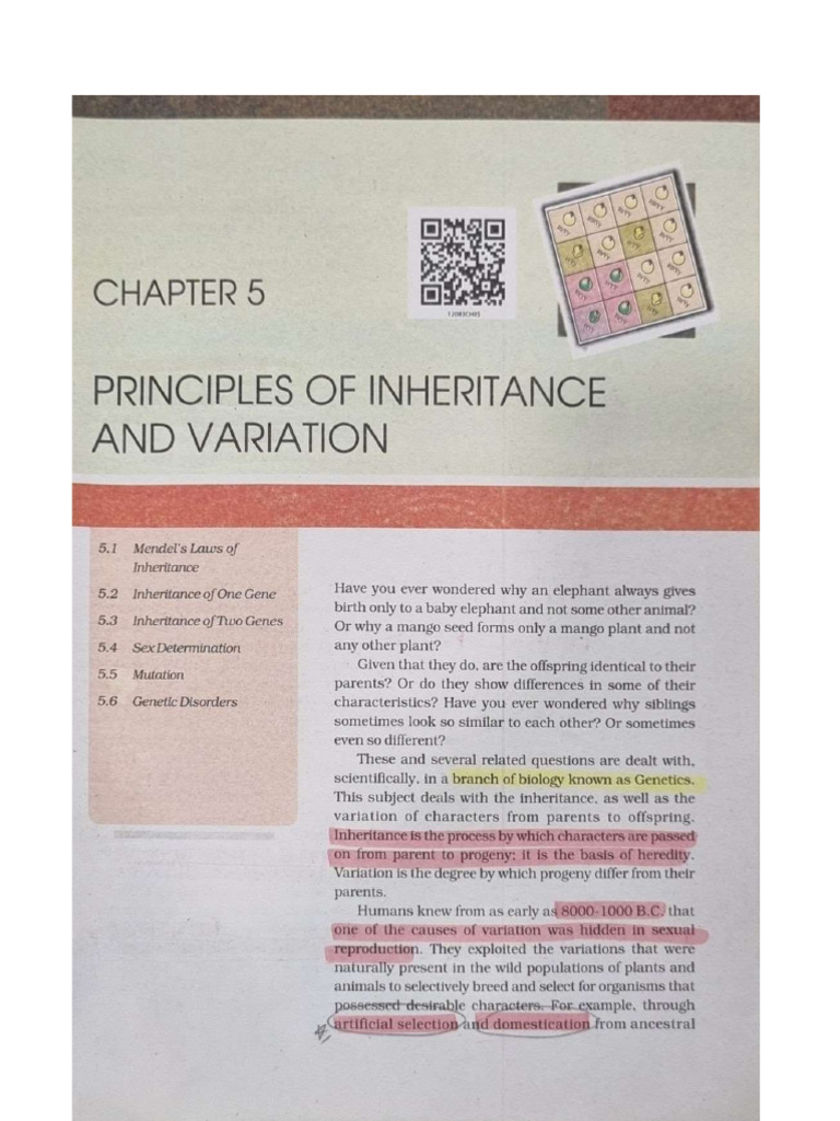 Principles of Inheritance and Variation | PDF