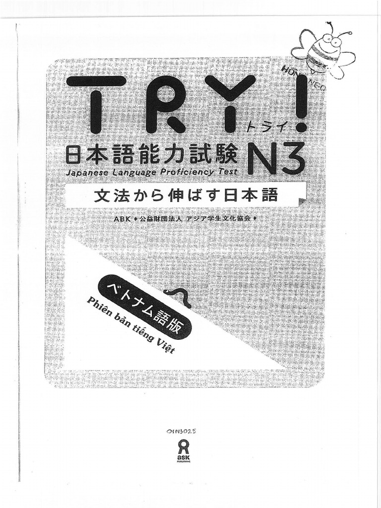 Try N3 TiengViet | PDF