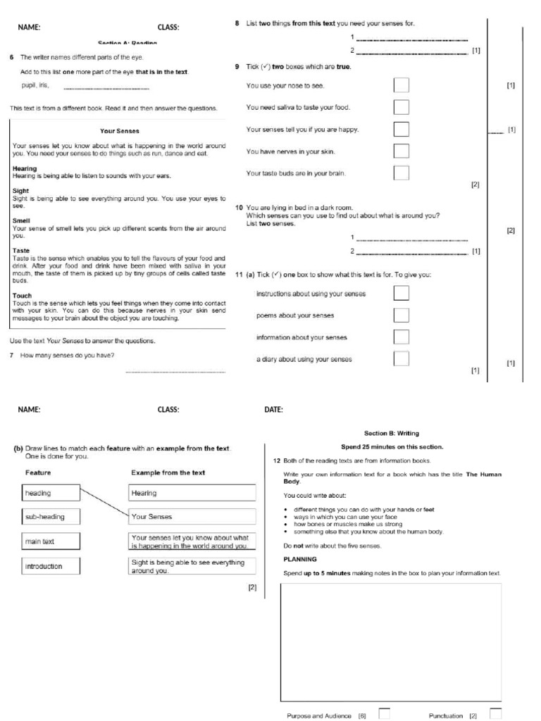 Y3 Progression Test Paper 1 | PDF